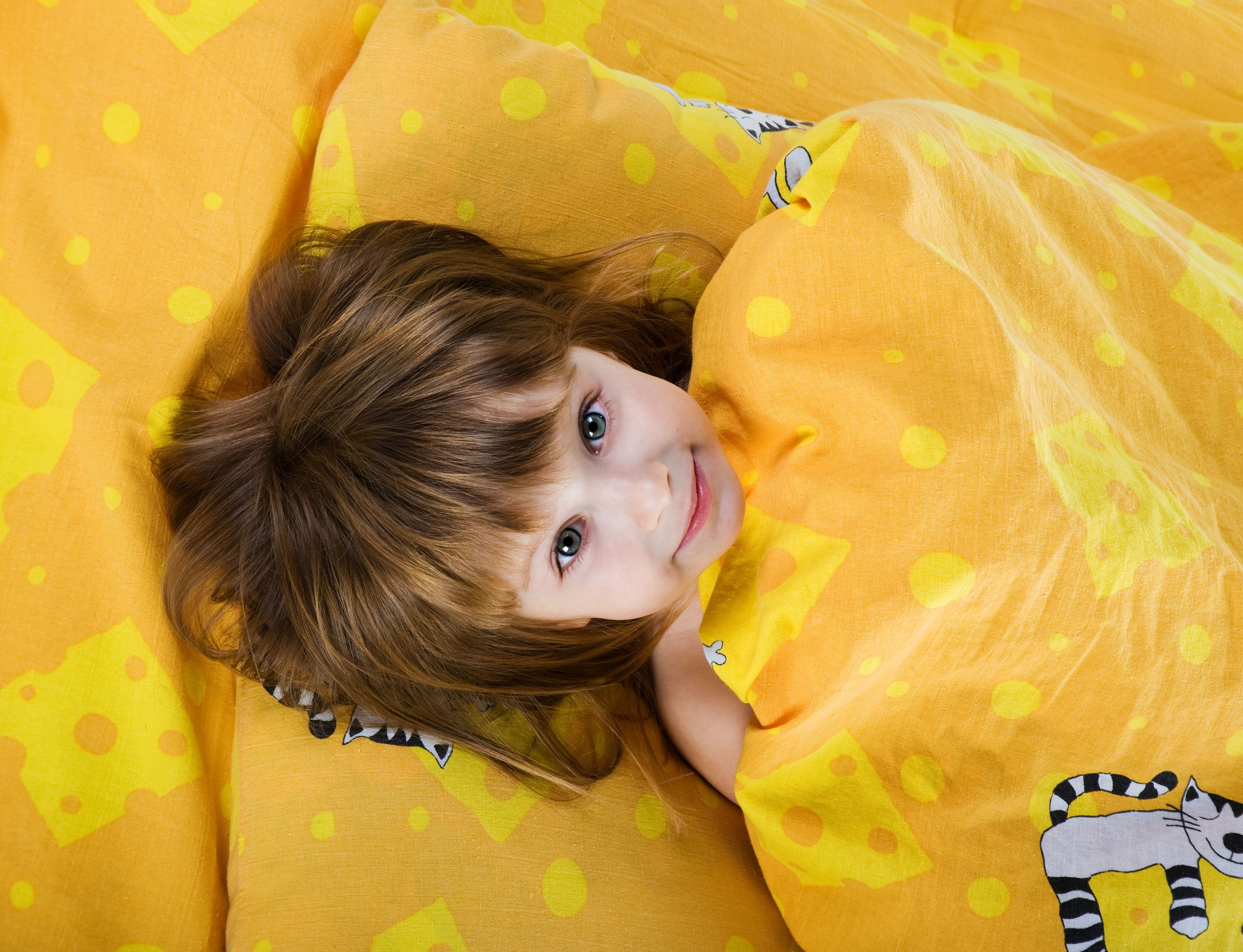Bed Safety Checklist-20 tasks | Free | App | PDF | Printable