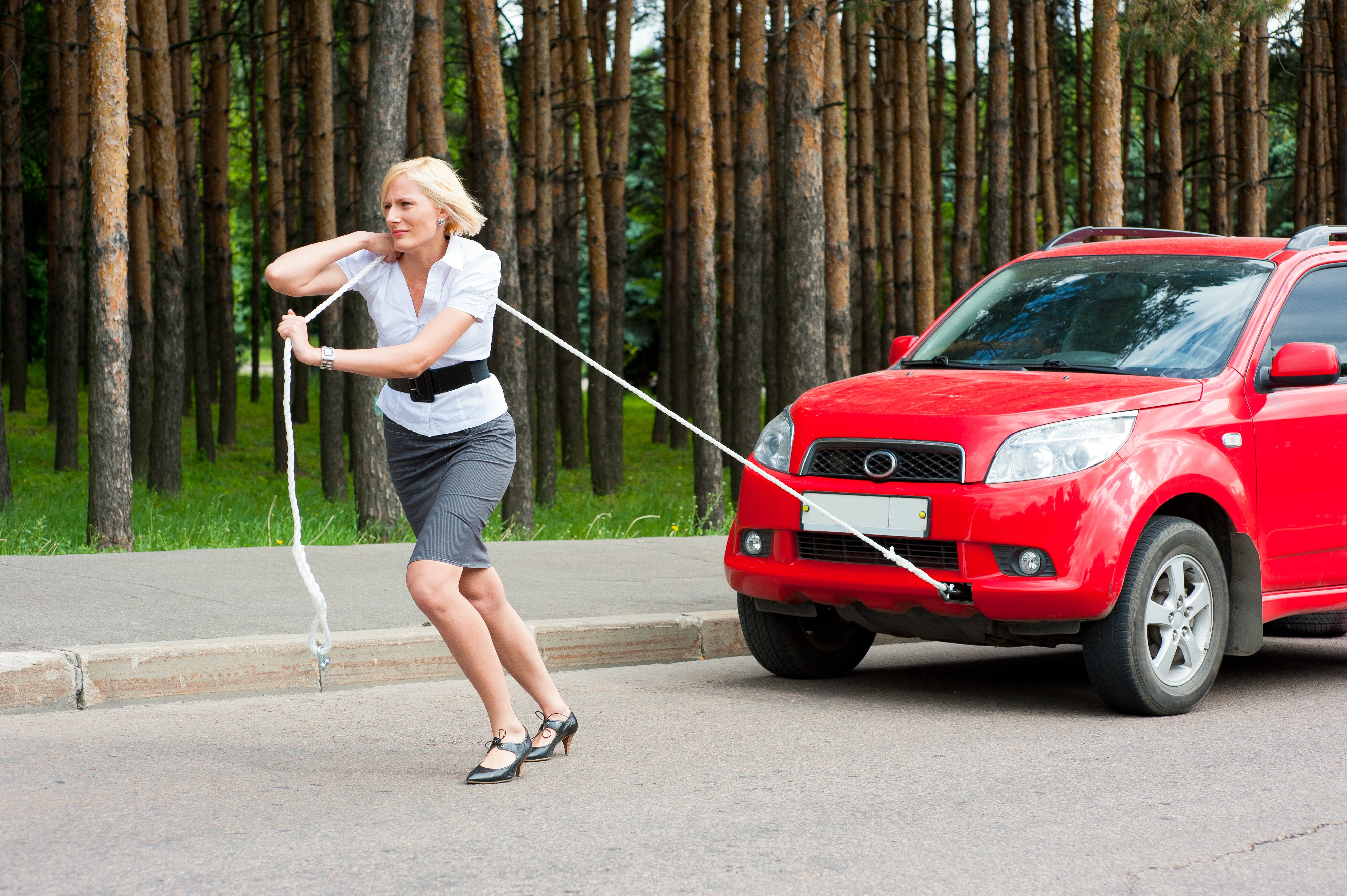 Car Accident Checklist-31 tasks| Free| App | PDF | Printable