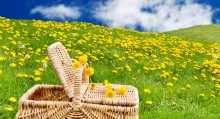 Picnic Checklist: 53 Essentials for a Perfect Day