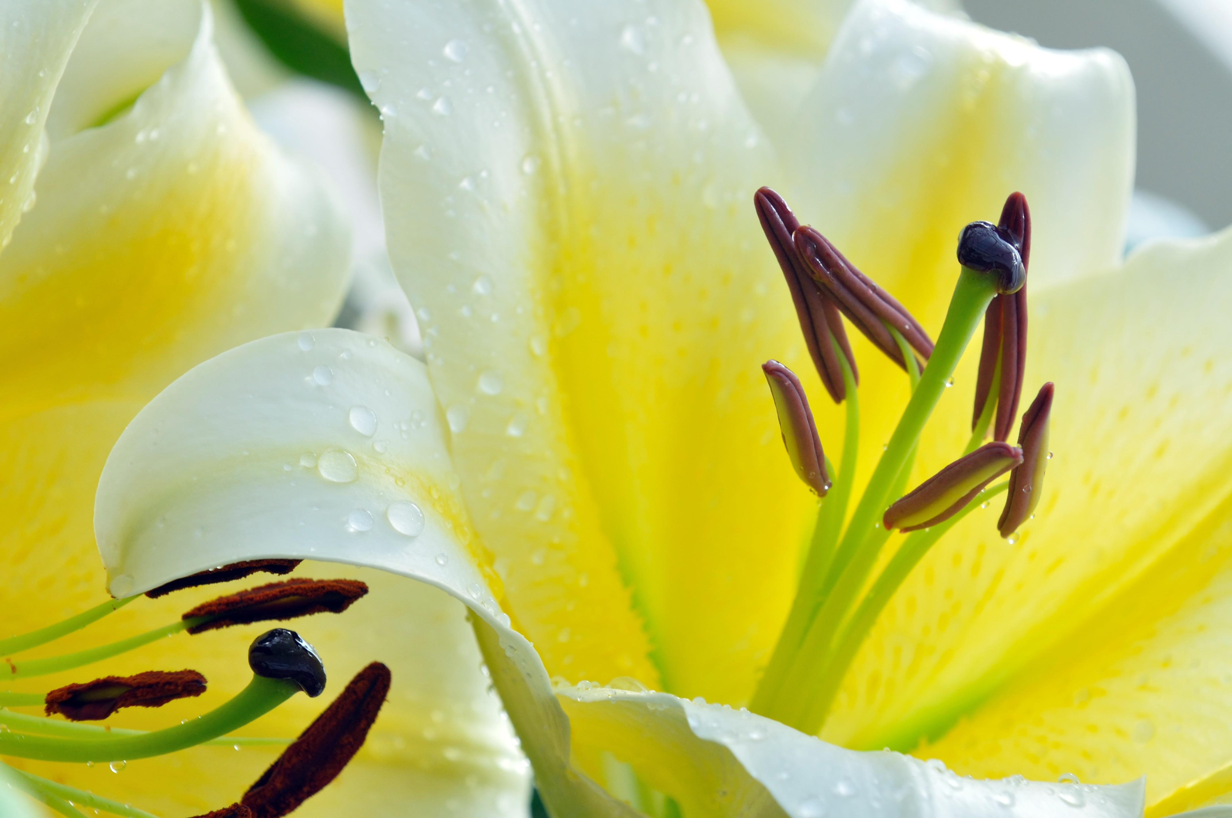 Death Checklist: 83 Essential Steps for End-of-Life Planning