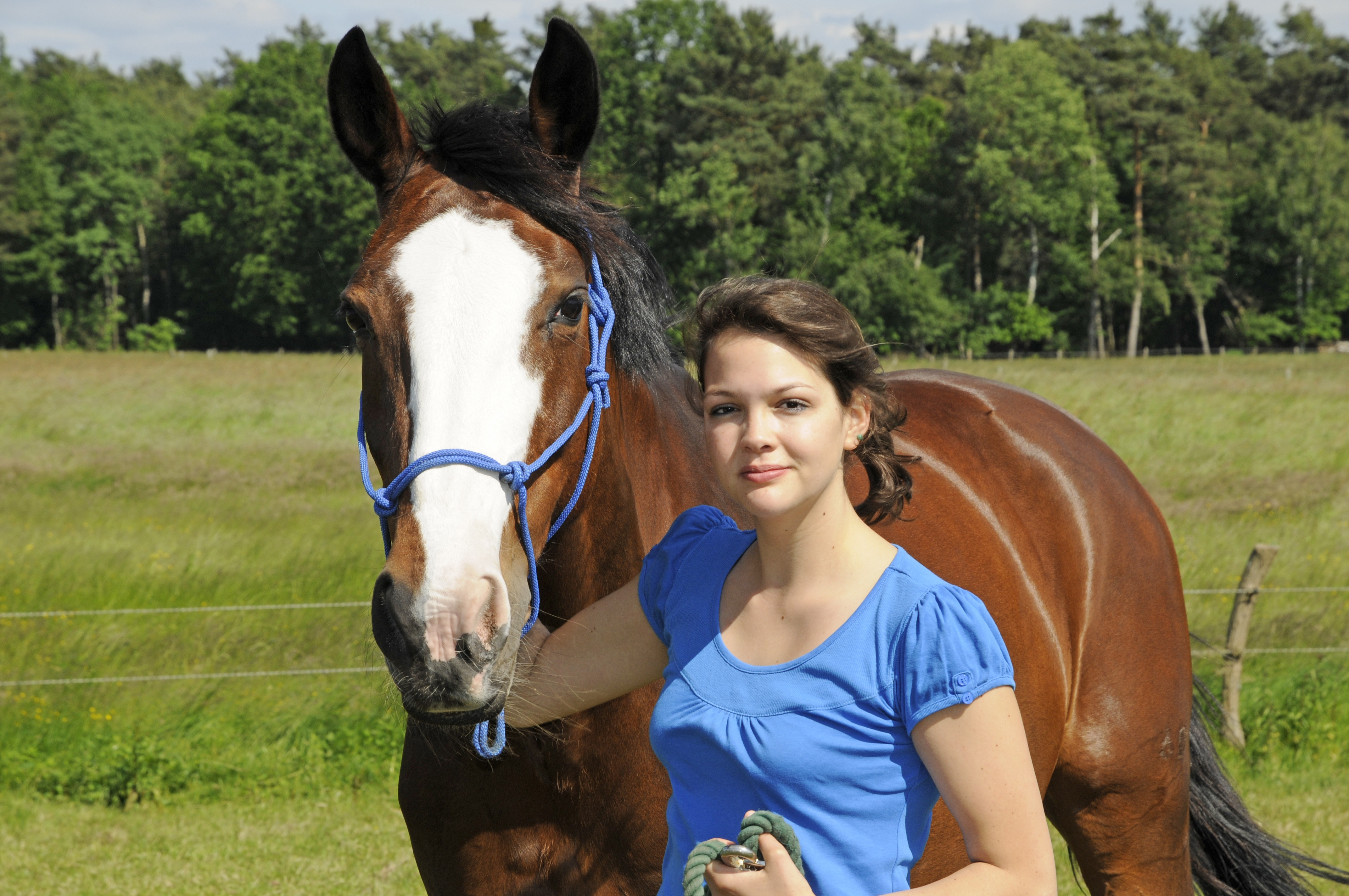 Buying Horse Checklist-27 tasks| Free| App | PDF | Printable